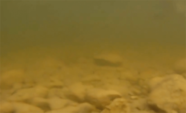 ᐅ (Early) spring pike fishing ᐅ【Tips + Hotspots → [The FishFinders】
