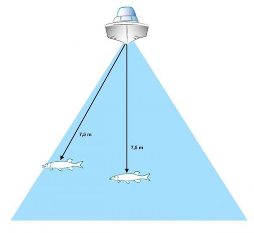 ᐅ Understand fishfinder sonar images ᐅ【The FishFinders】