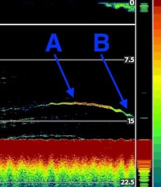 ᐅ Understand fishfinder sonar images ᐅ【The FishFinders】