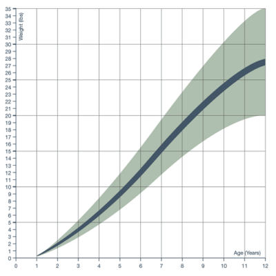 lllᐅ The (northern) pike: The ultimate guide【2021】⋆⋆